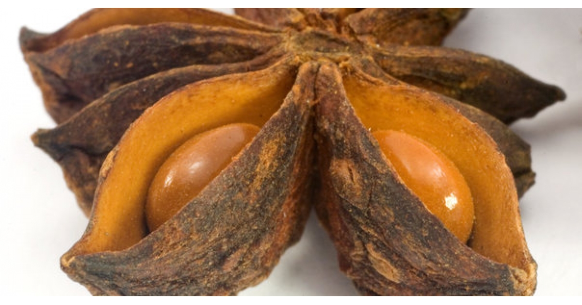 Anasonul stelat - mirodenia cu o suta de miresme - Biaplant