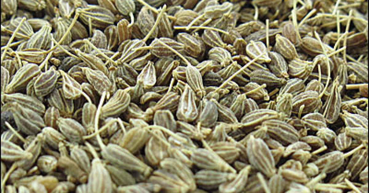 Seminte de anason - o aroma benefica sanatatii - Biaplant