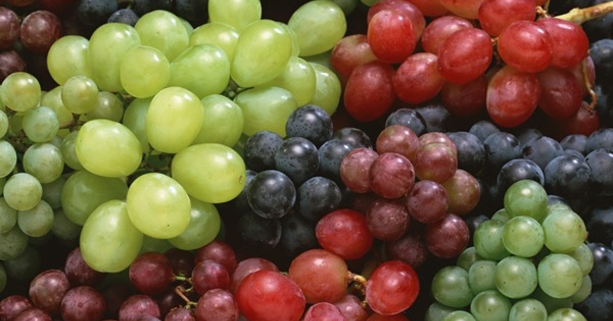 Strugurii - o sursa de vitamine - Biaplant