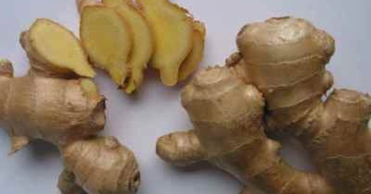 Ghimbirul - ajuta digestia - Biaplant