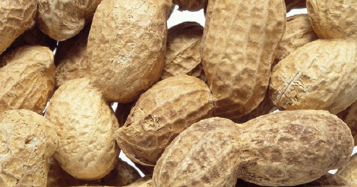 Arahide - contin o mare cantitate de calciu - Biaplant