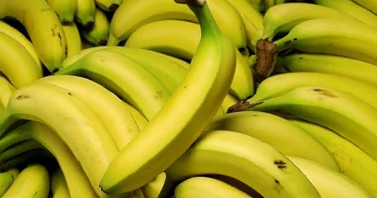 Bananele - sunt bogate in fibre - Biaplant