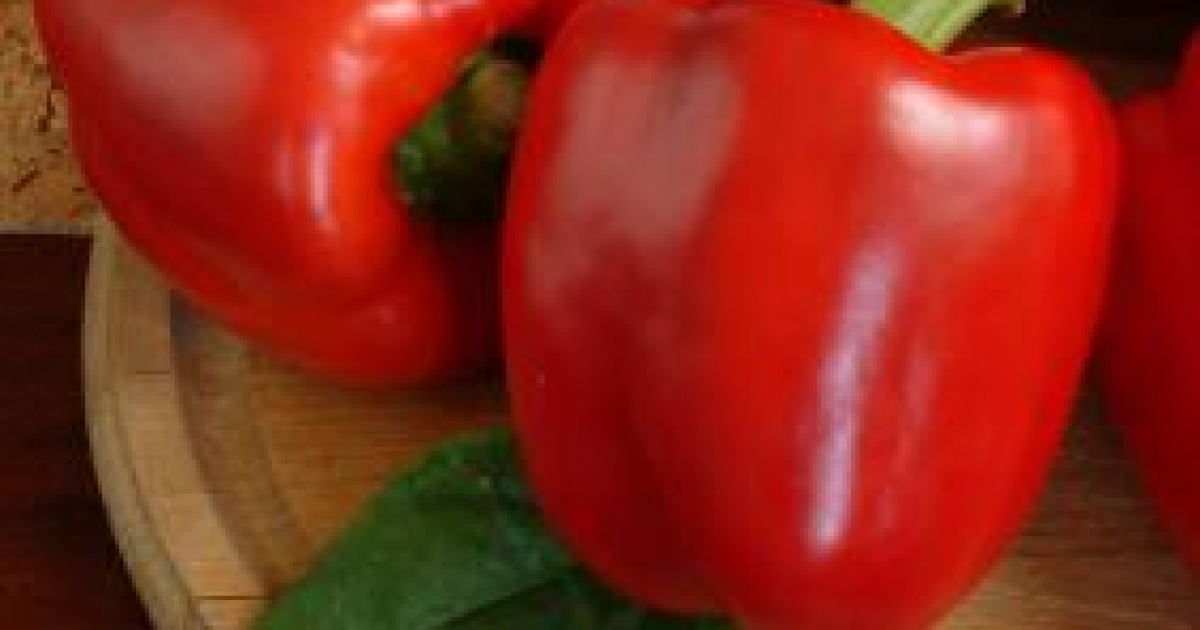 Ardeiul gras rosu - cu un continut mare de vitamine A si C - Biaplant