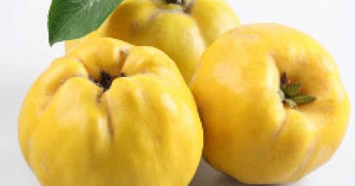 Gutuia - fructul auriu cu calitati culinare, medicinale si cosmetice ...