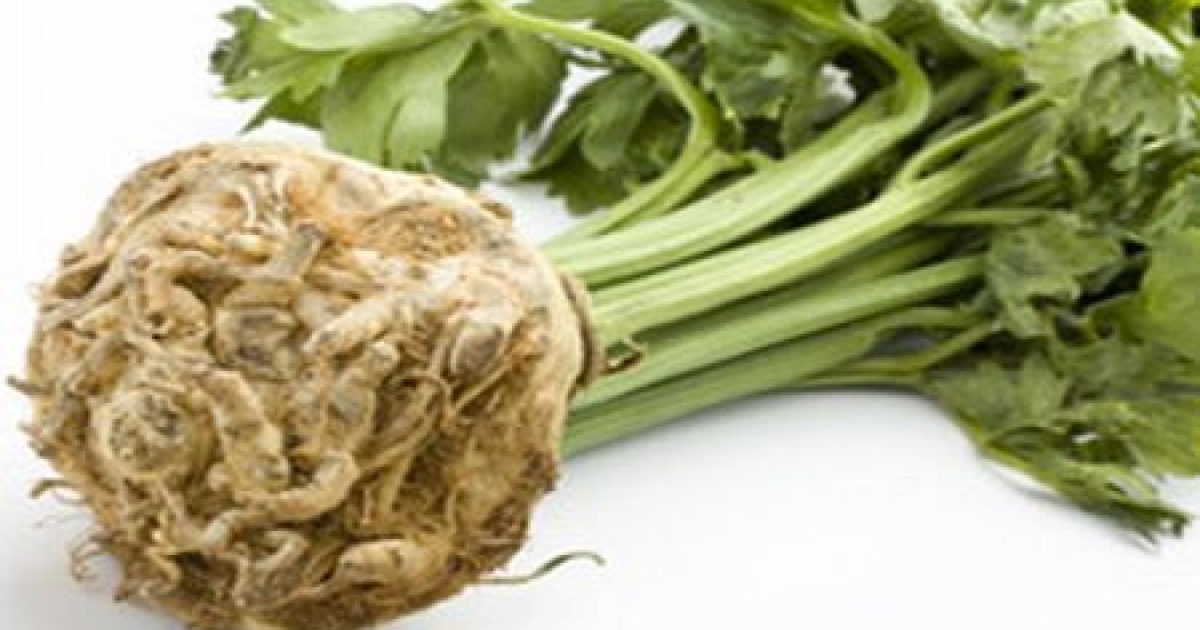 Telina - o radacina cu multe beneficii culinare si medicinale - Biaplant