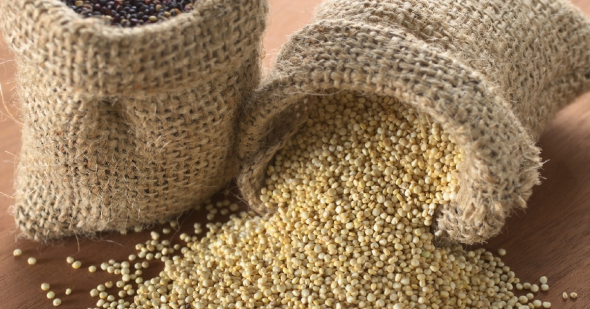 Quinoa si Meiul - seminte pline de proteine, recomandate in post - Biaplant