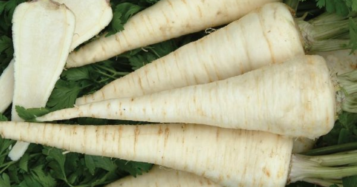 Patrunjelul - aliment, condiment si medicament de exceptie - Biaplant