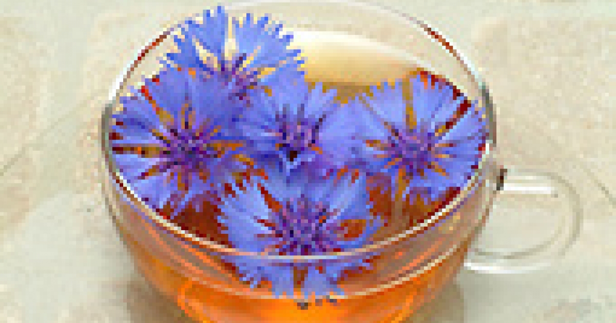 Ceaiul de albastrele, un medicament natural - Biaplant