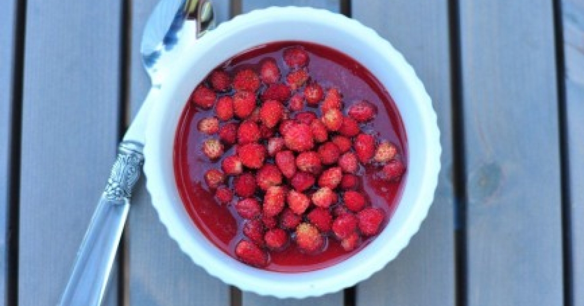 Siropul de fragute, tonic si detoxifiant - Biaplant