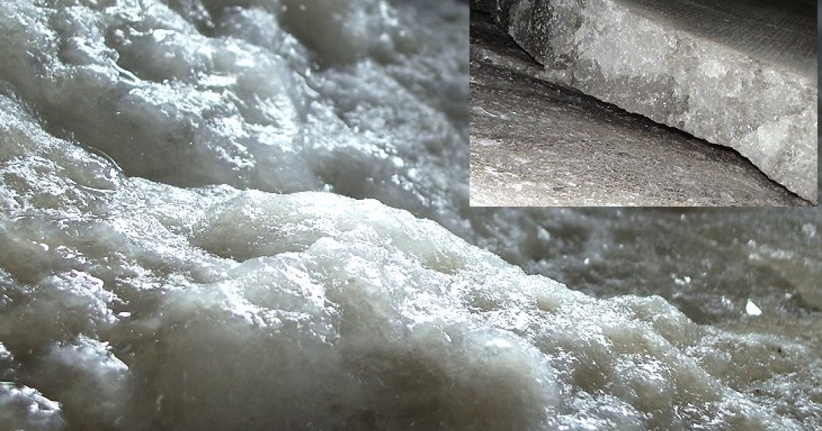 Sarea, o roca incredibila - Biaplant